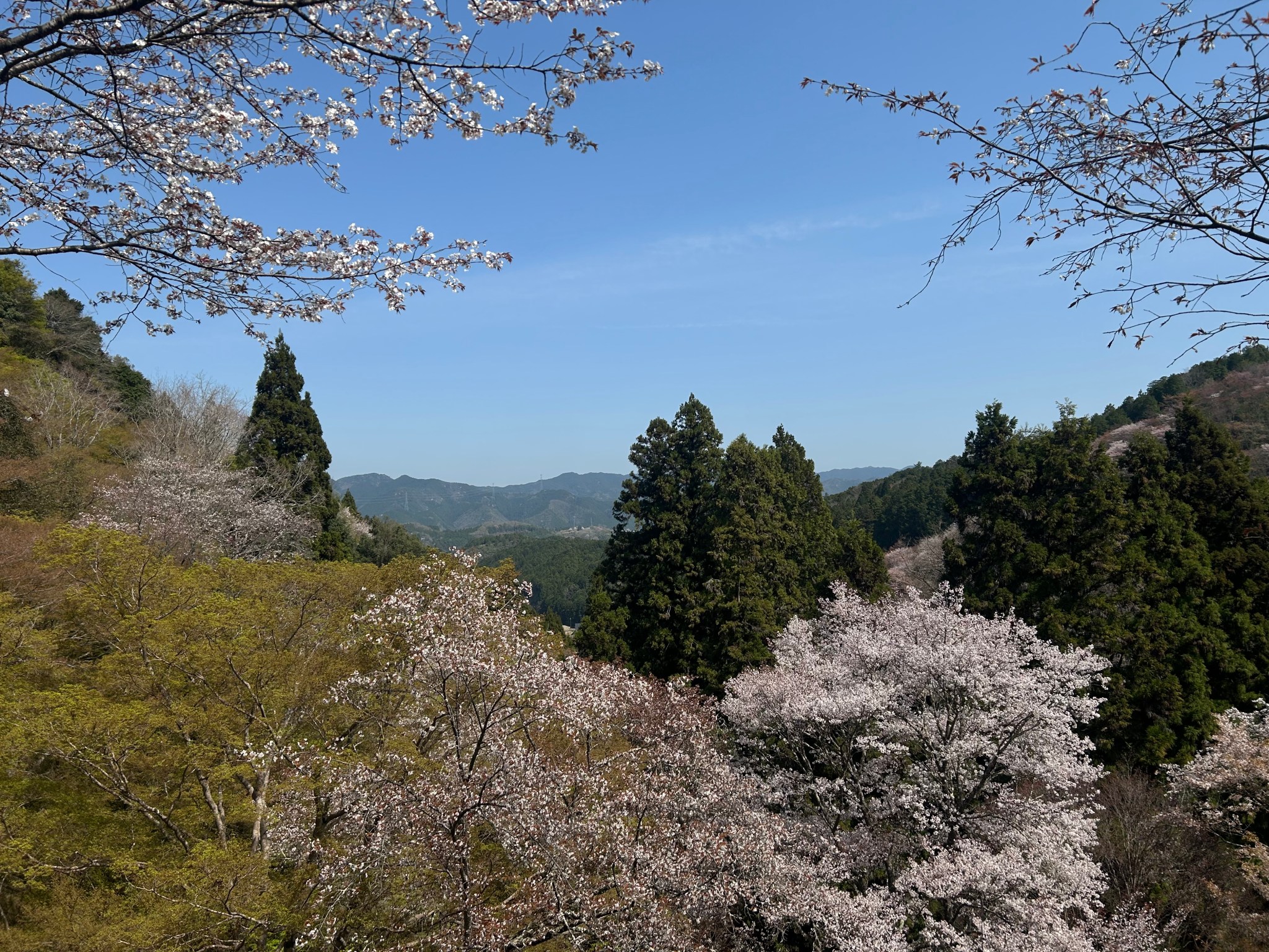 Mt. Yoshino Day Trip from Osaka – Hike, Temples & Timeless Views ...